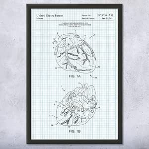 Amazon.com: Framed Human Heart Print, Teacher Gift, Classroom Decor ...