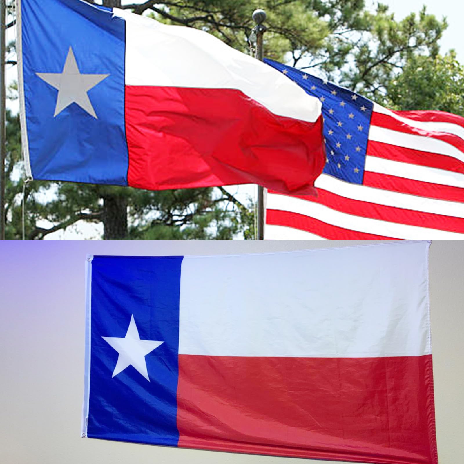 Bandera Oficial Del Estado De Texas