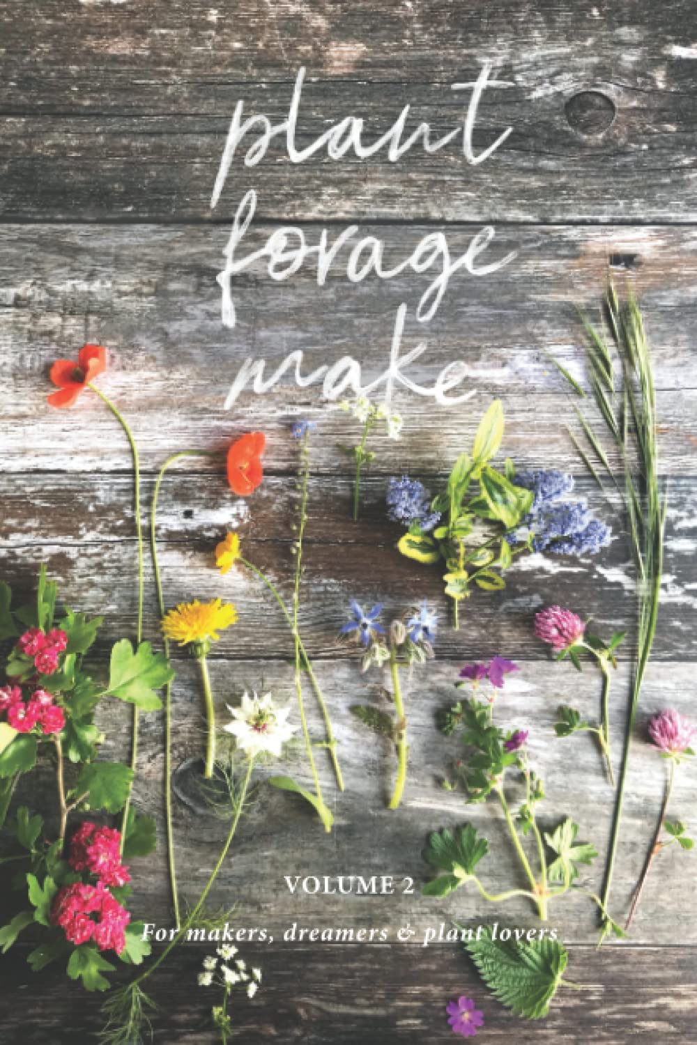 Plant Forage Make vol. 2: Desnos, Rebecca: 9781739819729: Amazon.com: Books
