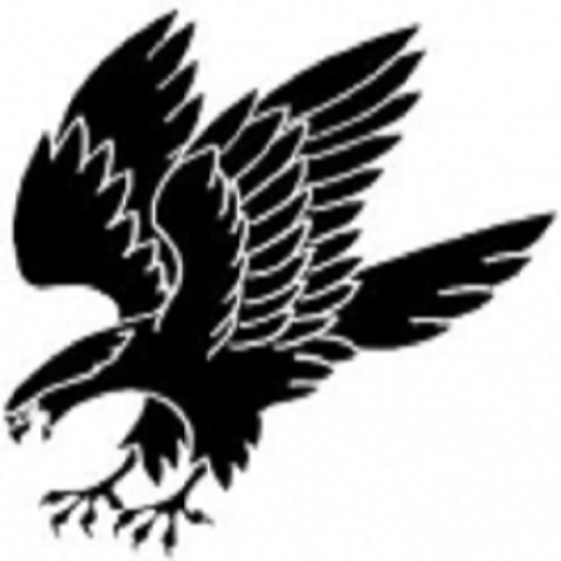 Falcon Player - App on Amazon Appstore