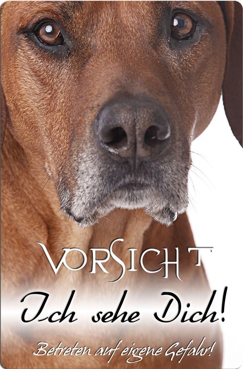 RHODESIAN RIDGEBACK - Metall WARNSCHILD Schild Hundeschild Sign - RRB ...