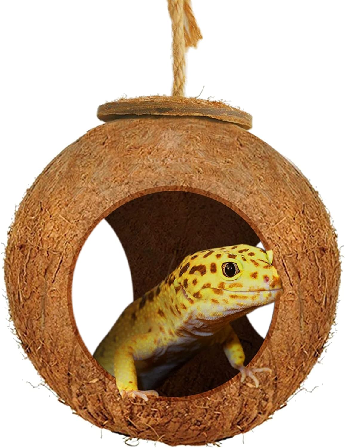 Amazon.com : SunGrow Leopard Gecko Coco Hut, Gecko Climbing Accessories ...
