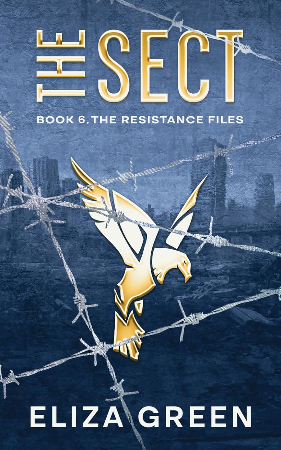 Amazon.com: The Sect: An outsider versus system young adult dystopian ...