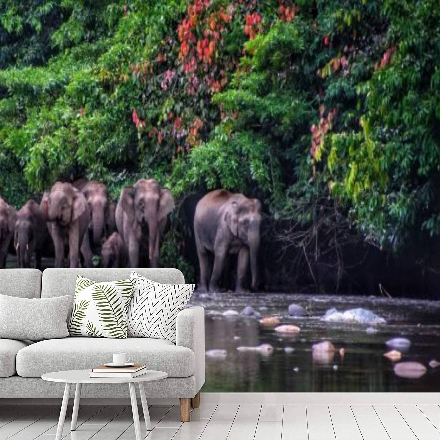 Pygmy Elephants Full Grown