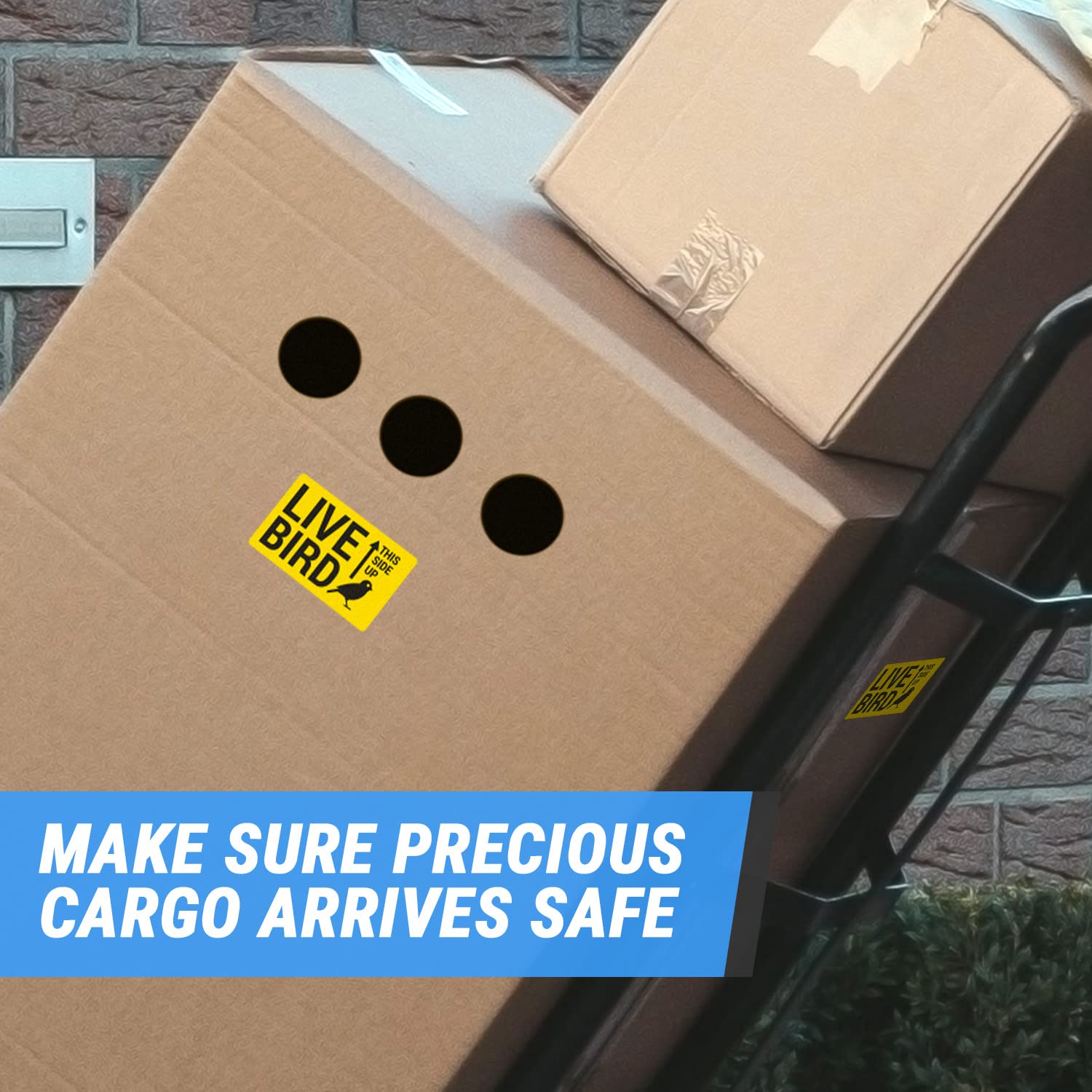 Snapklik.com : Live Bird Labels - 5 X 3 Inch Live Bird Stickers Label ...