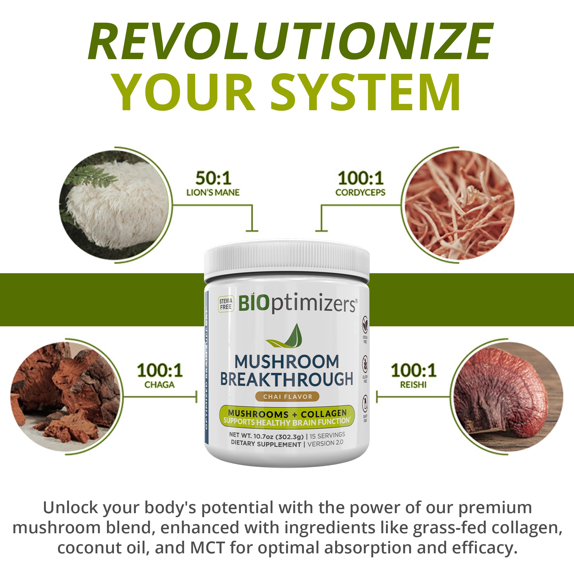 Snapklik.com : BiOptimizers Mushroom Breakthrough - Chai Flavor ...