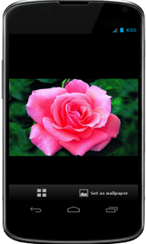 Pink Roses: app su Amazon Appstore
