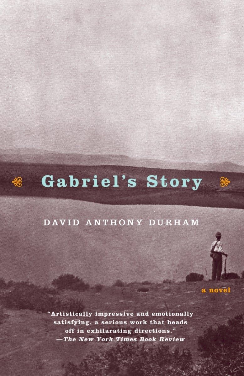 Gabriel's Story: A Novel (Hurston/Wright LEGACY Award): Durham, David ...