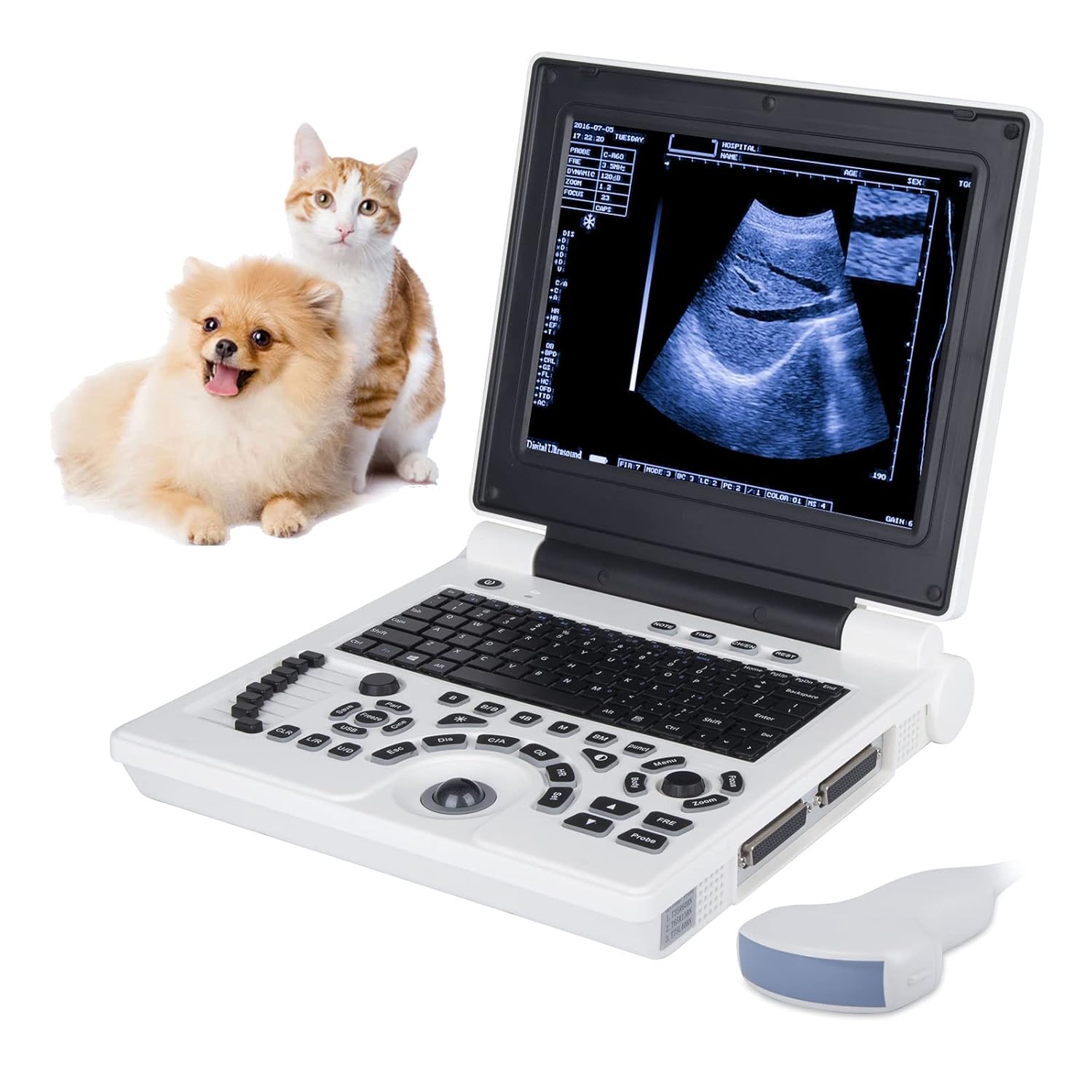 Amazon.com: Ultrasound Scanner Veterinary Pregnancy with 3.5 MHz Convex ...