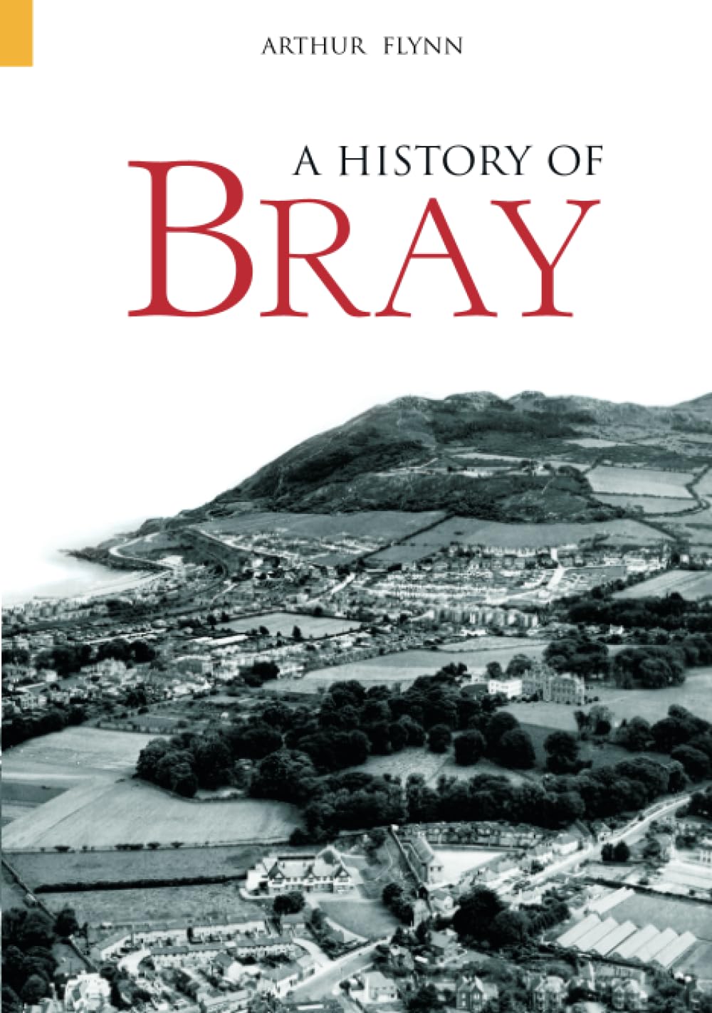 A History of Bray: Flynn, Arthur: 9780752432694: Amazon.com: Books