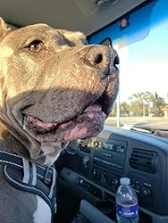 Amazon.com: Seven Psychopaths [Blu-ray] : Colin Farrell, Woody ...