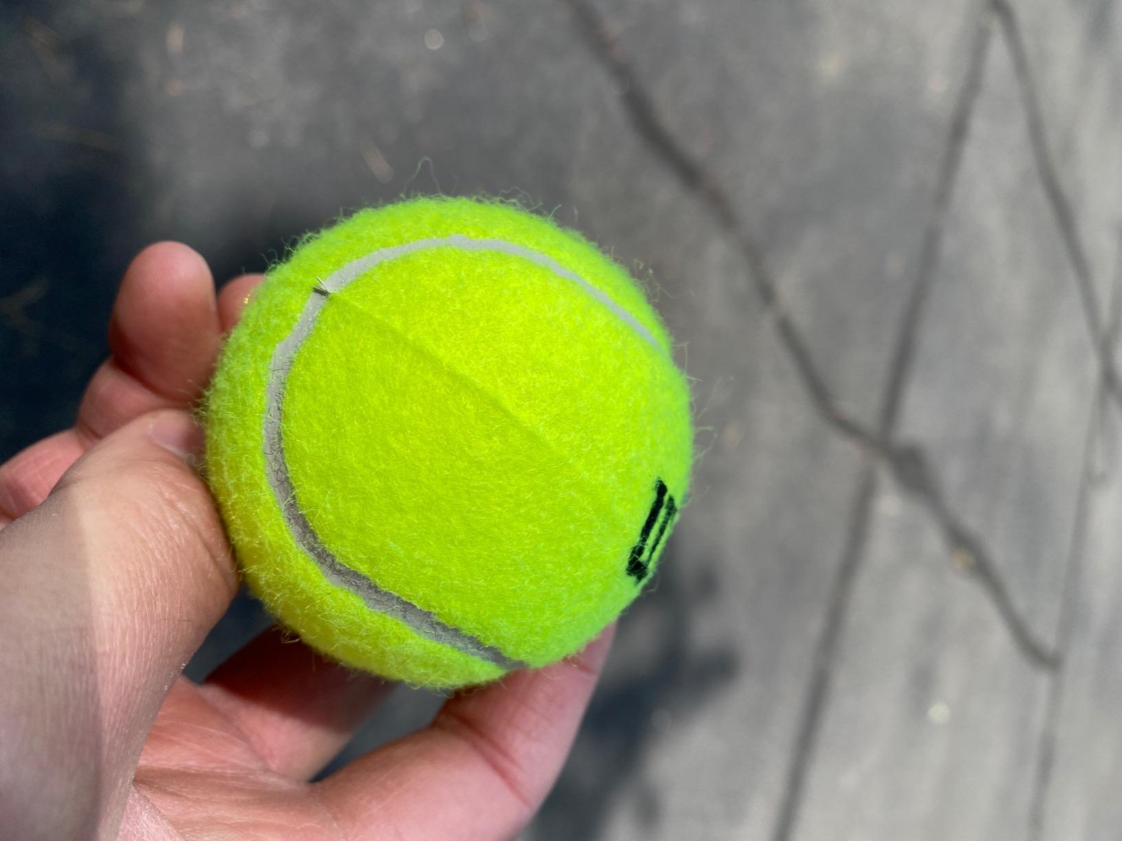 Amazon.com : WILSON Sporting Goods WILSON Pressureless Tennis Balls ...