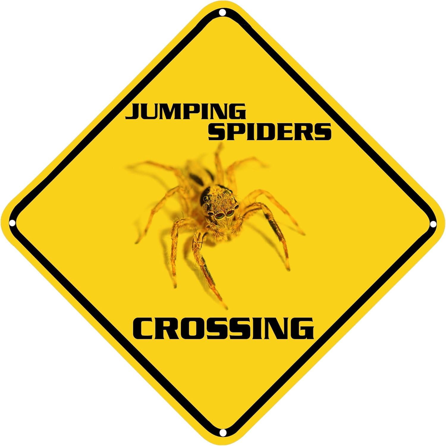 Amazon.com : Jumping Spiders Crossing Warning Sign Jumping Spiders Sign ...