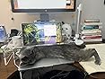 Amazon.com: Clear Acrylic Keyboard Cover Protector Anti-Cat,2 in 1 ...