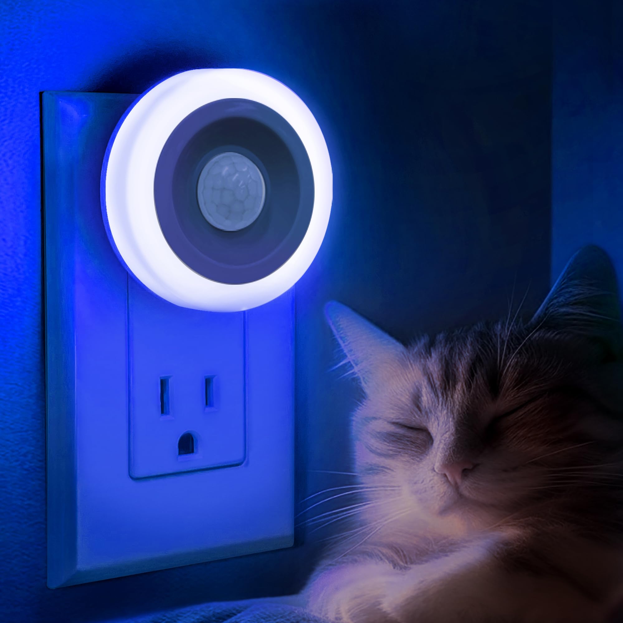 Amazon.com: Briignite Motion Sensor Night Light Blue, [2 Pack] Night ...