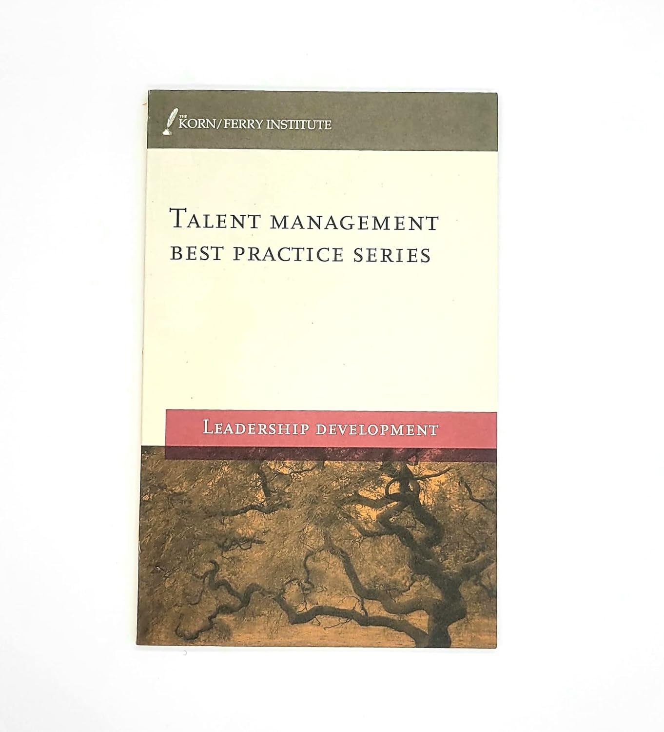 Talent Management Best Practice Series - Leadership Development: Noah ...