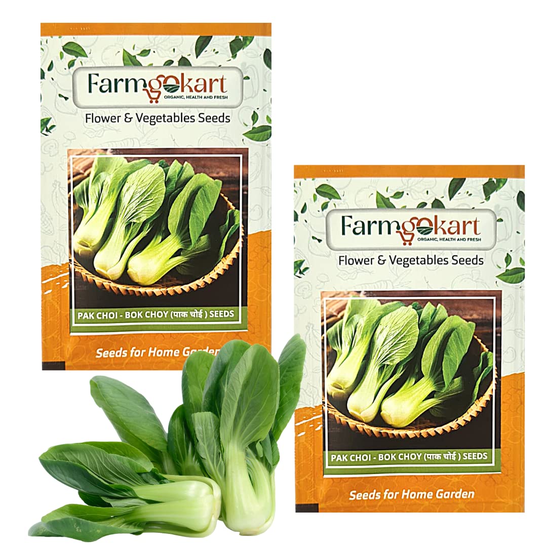 2 Packets of PAK CHOI, BOK CHOY SEEDS |Best Suitable For Terrace And Home Gardening | Vegetable ...