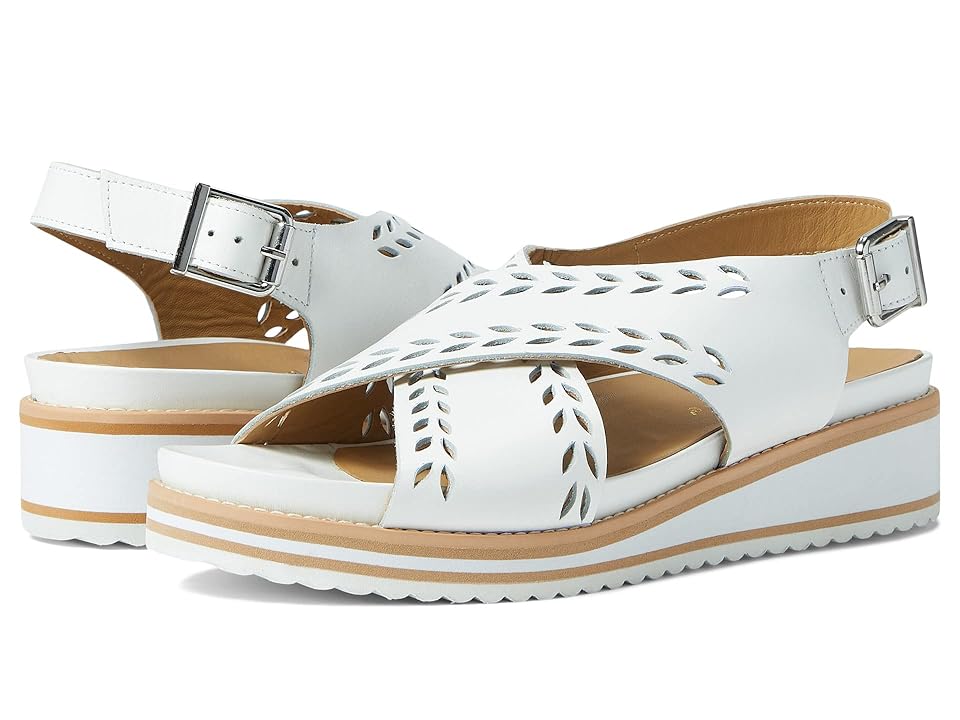 David Tate Women's Shoes