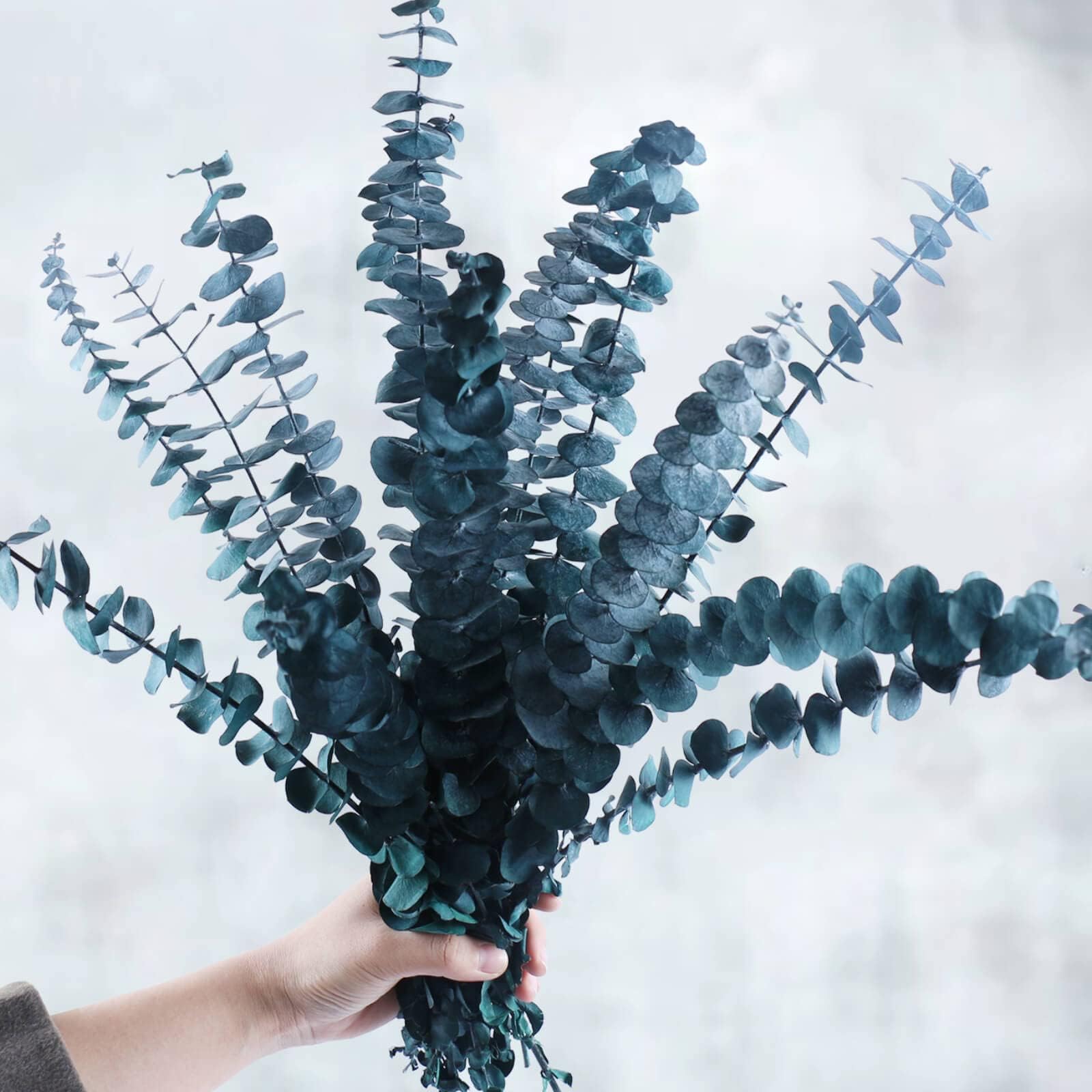 Amazon.com: 20 Pcs Preserved Dried Eucalyptus Stems Plant, 17” Fresh ...