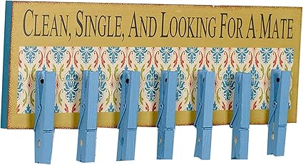 Amazon.com: Foreside Wash Day Clean Single Sign : Home & Kitchen