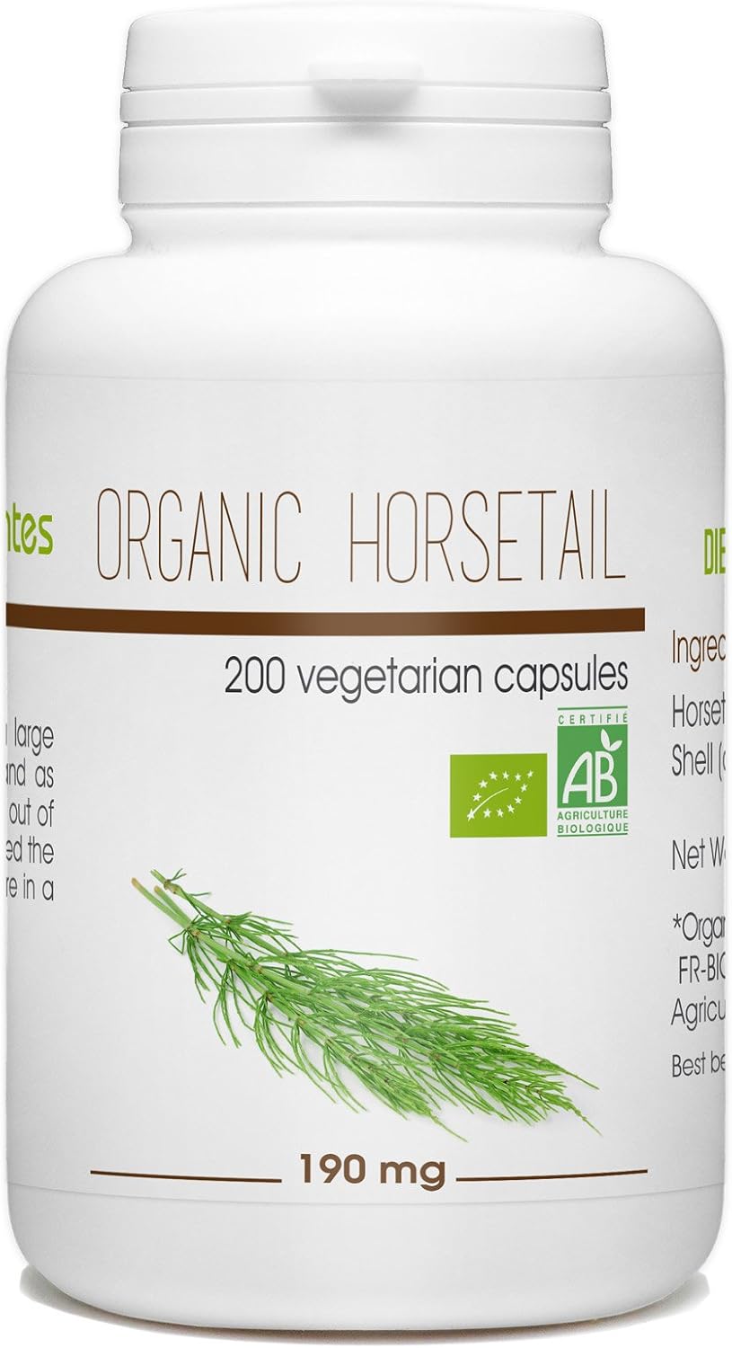 Amazon.com: Nature Land Candles Horsetail 200 Organic Vegetarian ...