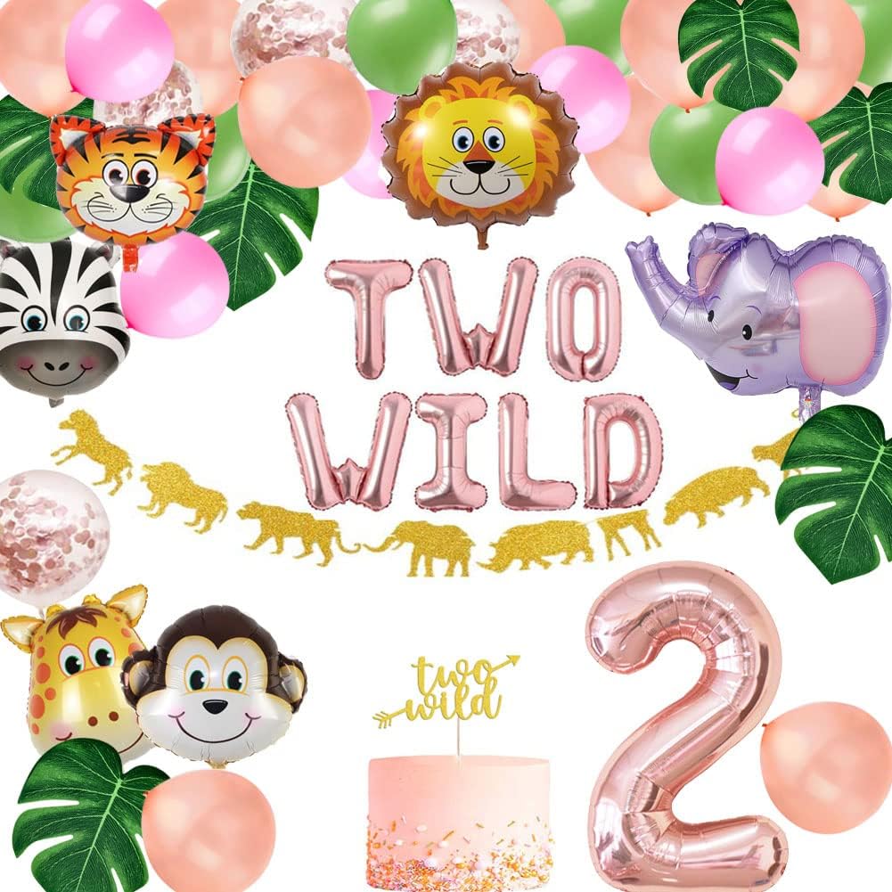 Amazon.com: Two Wild Birthday Party Decorations, Jungle Themed Secend ...