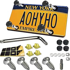Amazon.com: Dewkou 4 PCS Car License Plate Screws Kit, Stainless Steel ...