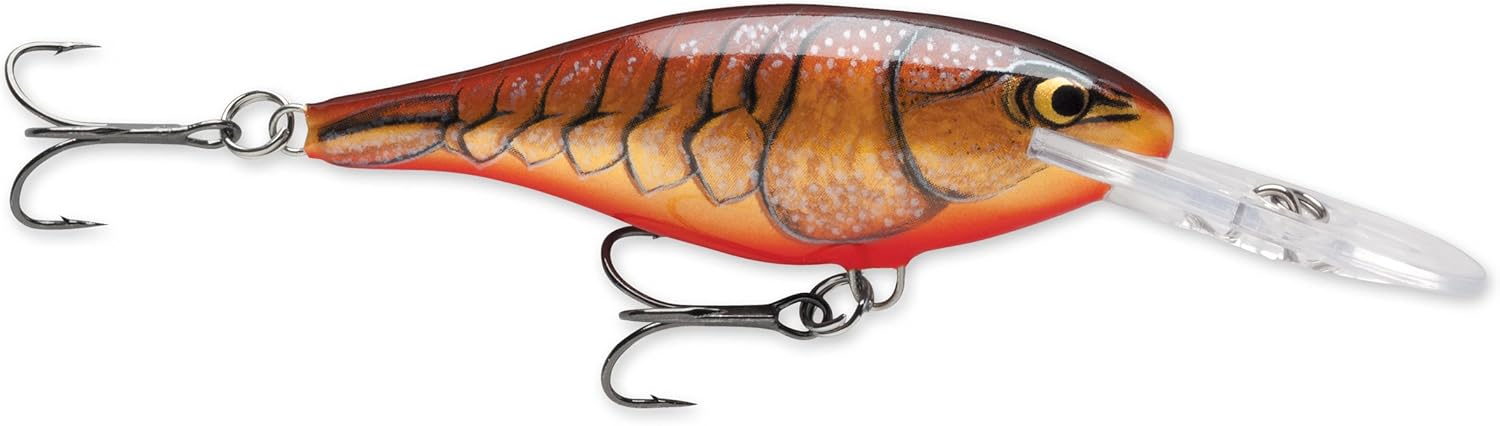 Amazon.com : Rapala Shad Rap Lure, Freshwater, Size 06, 2 1/2" Length ...