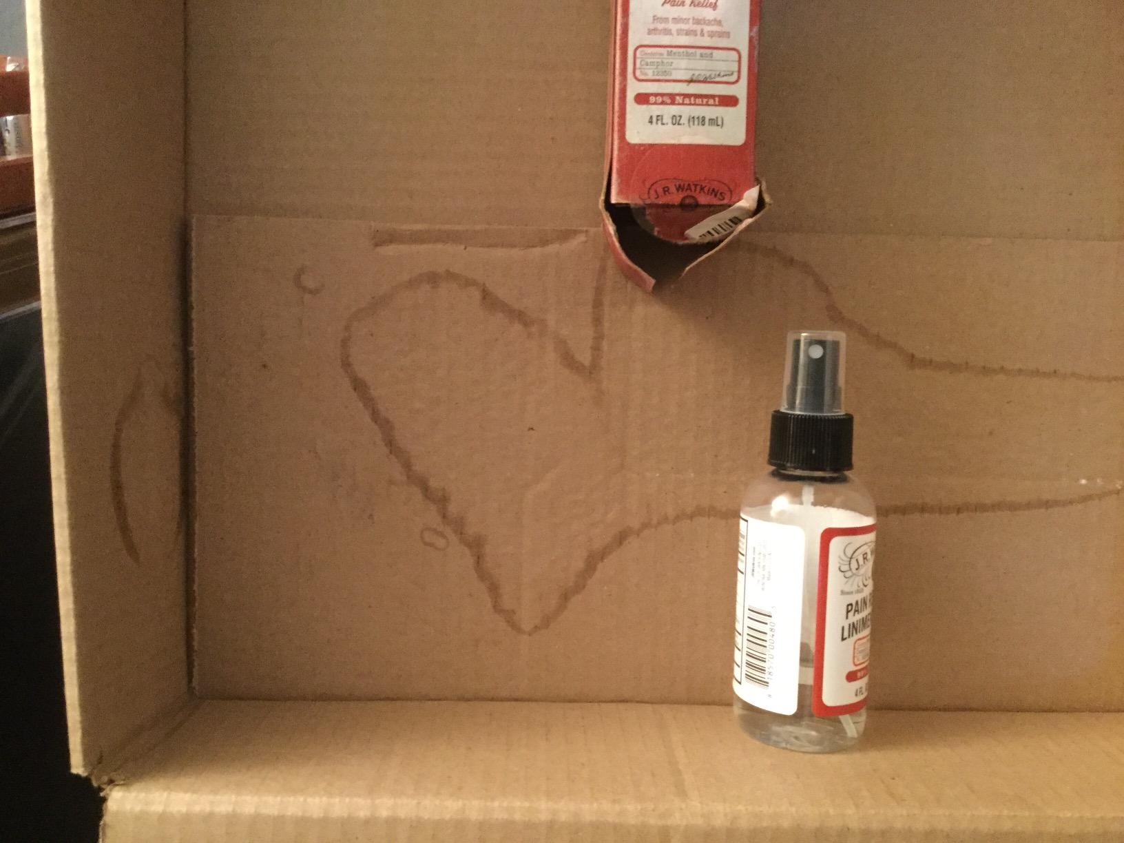 Amazon.com: J.R. Watkins Liniment Spry Pain Relief 4.0 Fz : Health ...