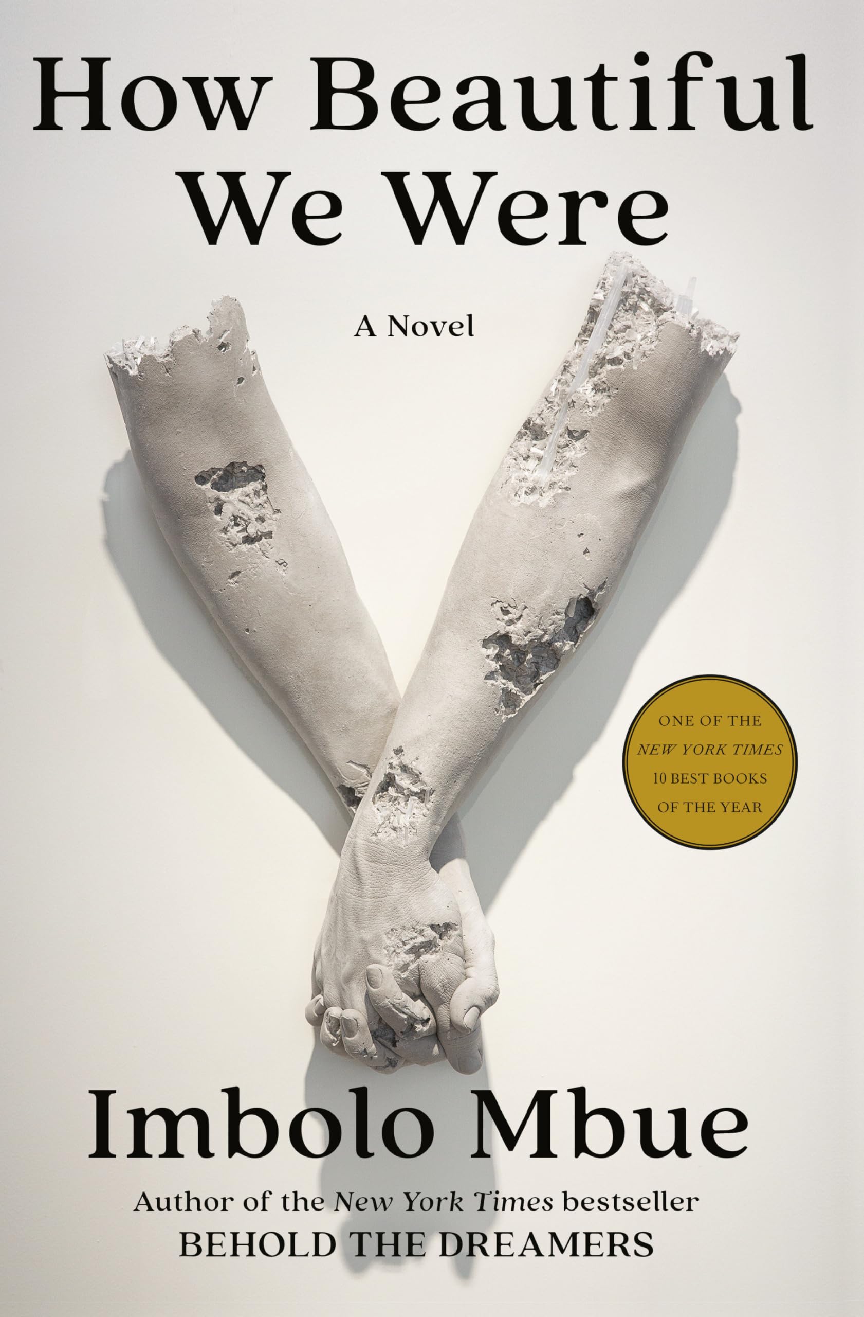 Amazon.com: How Beautiful We Were: A Novel: 9780593132425: Mbue, Imbolo ...