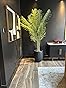 Amazon.com: ProDeco Artificial Palm Tree 7.2Ft Tall Large Fake Plant ...