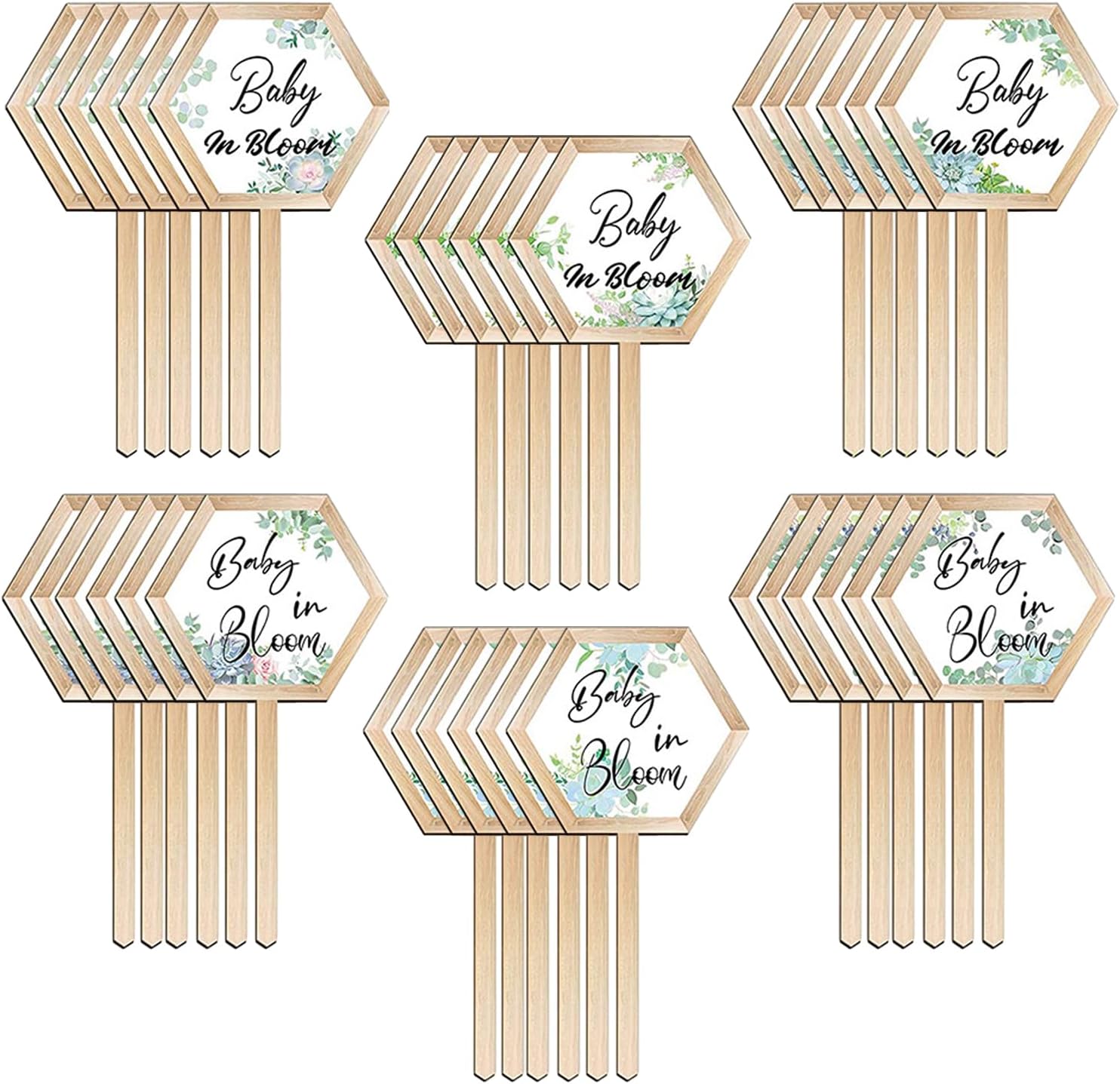 Amazon.com: Baby in Bloom Succulent Tags, Wooden Plant Stakes Label ...