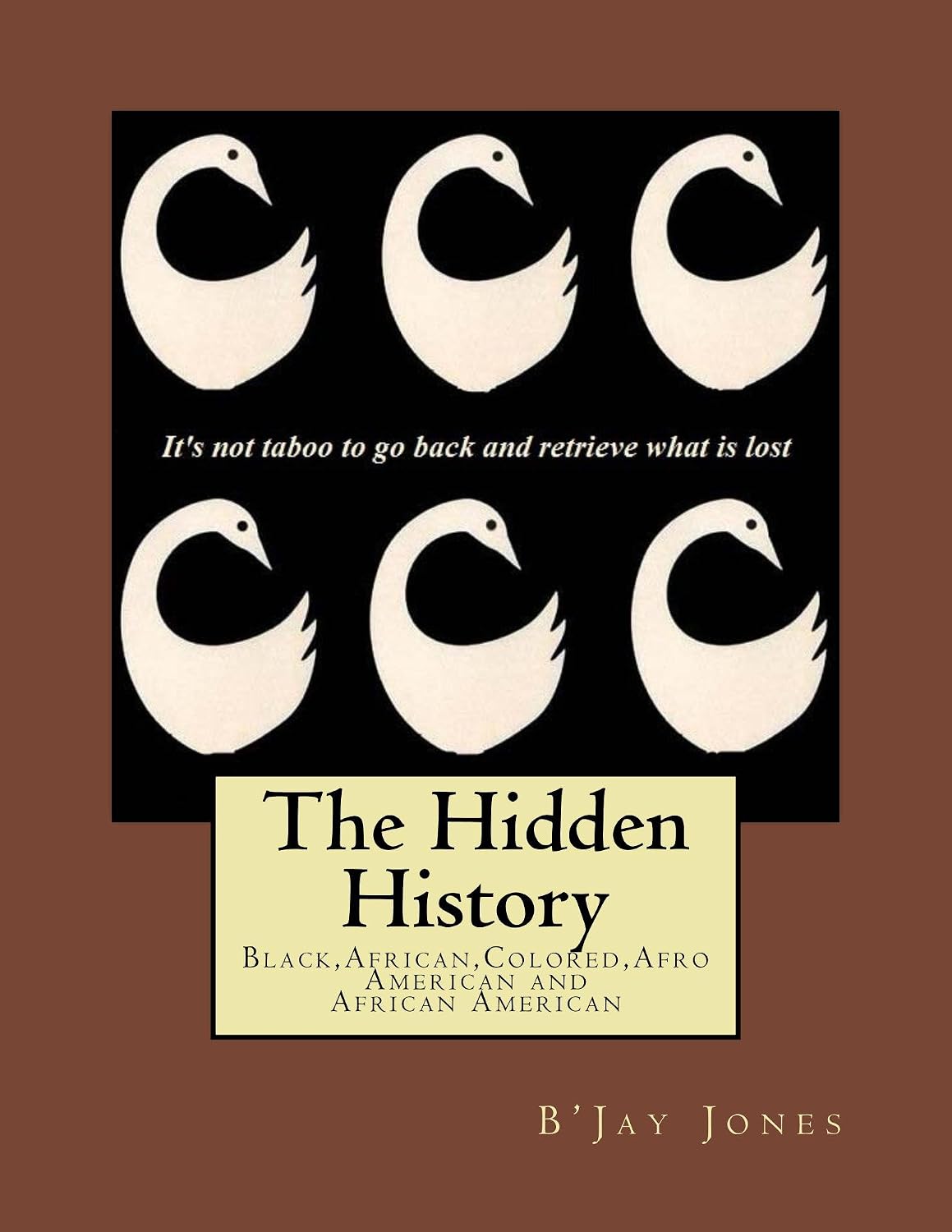 The Hidden History: Black, African, Colored, Afro American and African ...