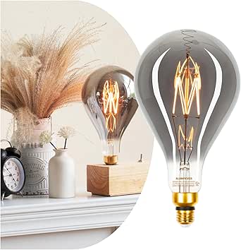 ALAMPEVER Oversized Decorative Light Bulb, 40W LED Light Bulb Dimmable ...