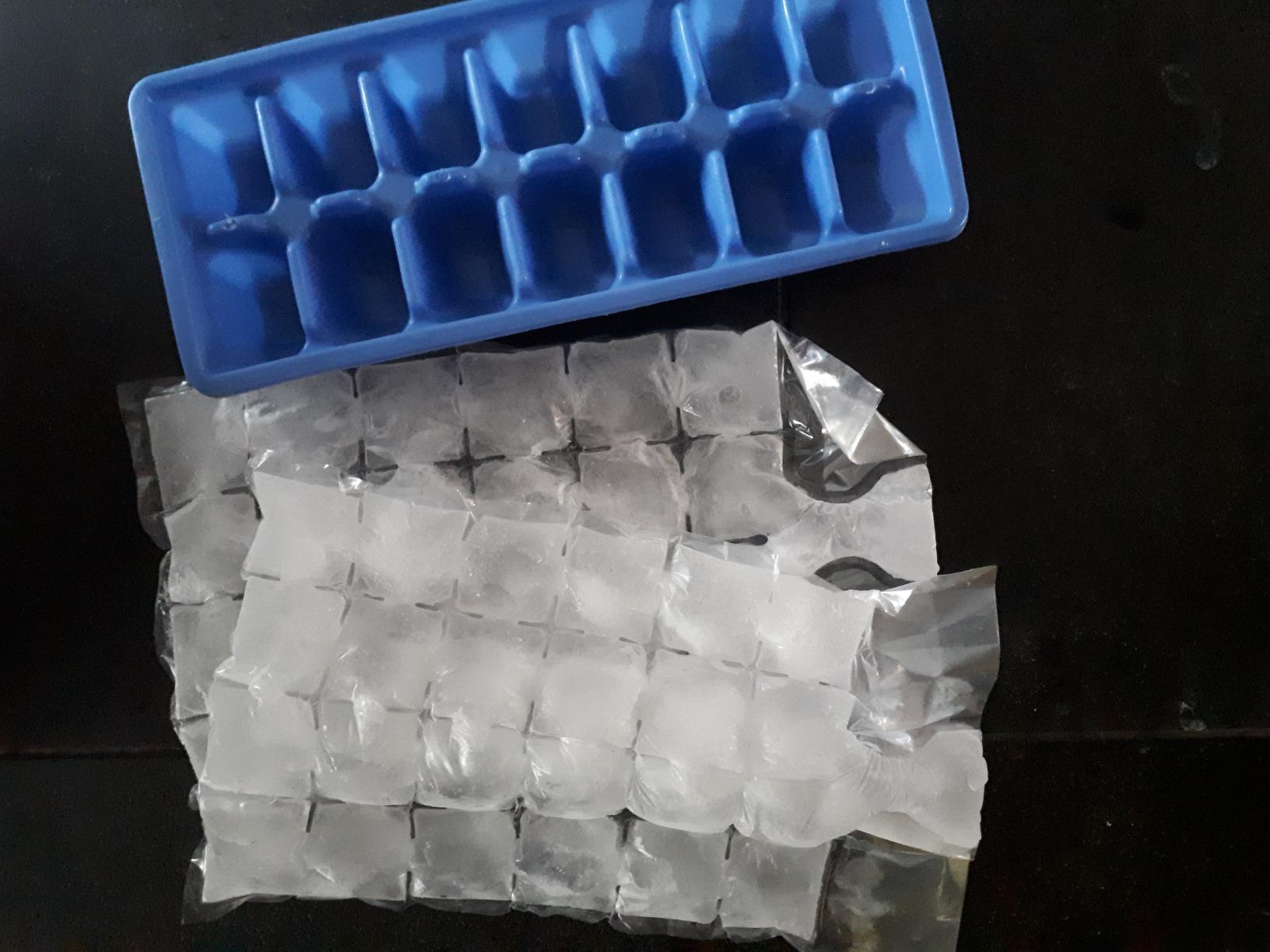 EORTA 50 Pieces Disposable Ice-Making Bags Plastic Ice Cube Tray Mold ...