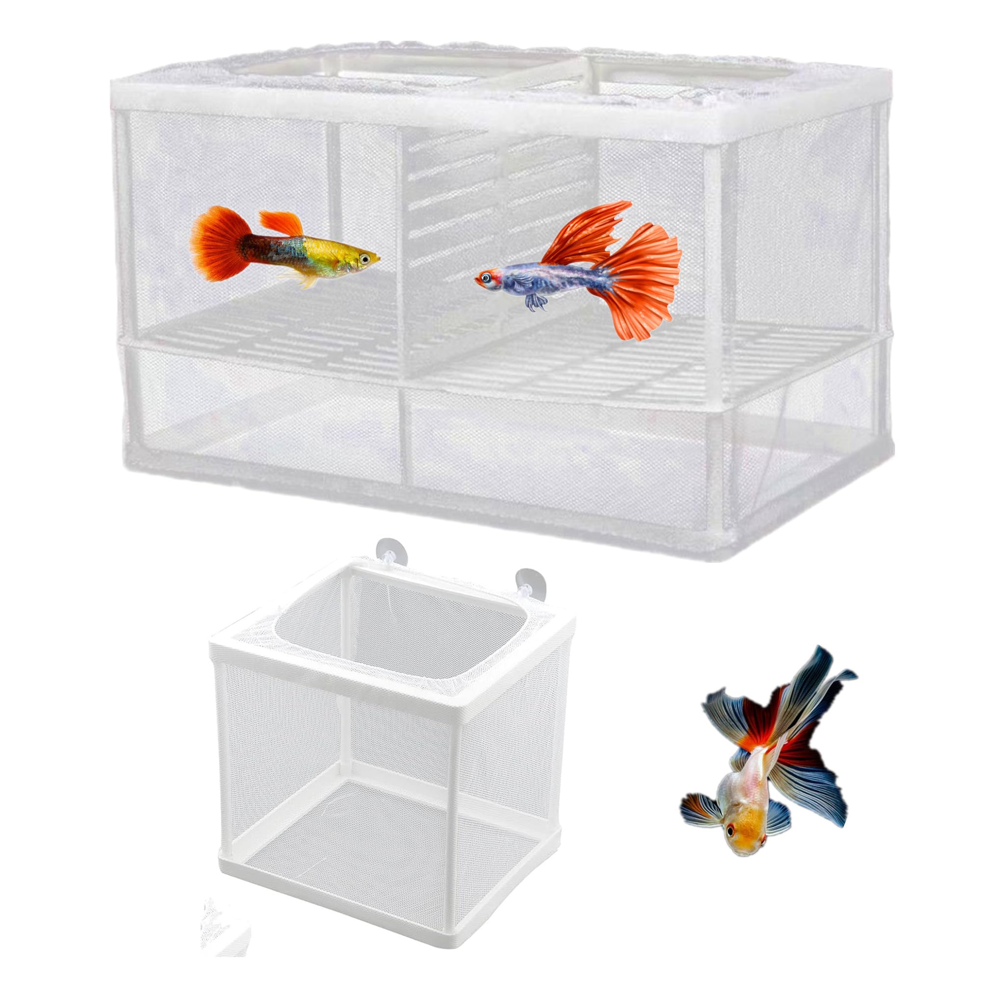 Snapklik.com : 2 Pack Fish Tank Breeder Net Mesh Breeder Box, Aquarium ...