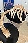 Amazon.com: Alien Plush Toy Prometheus Stuffed Animal for Fans of The ...