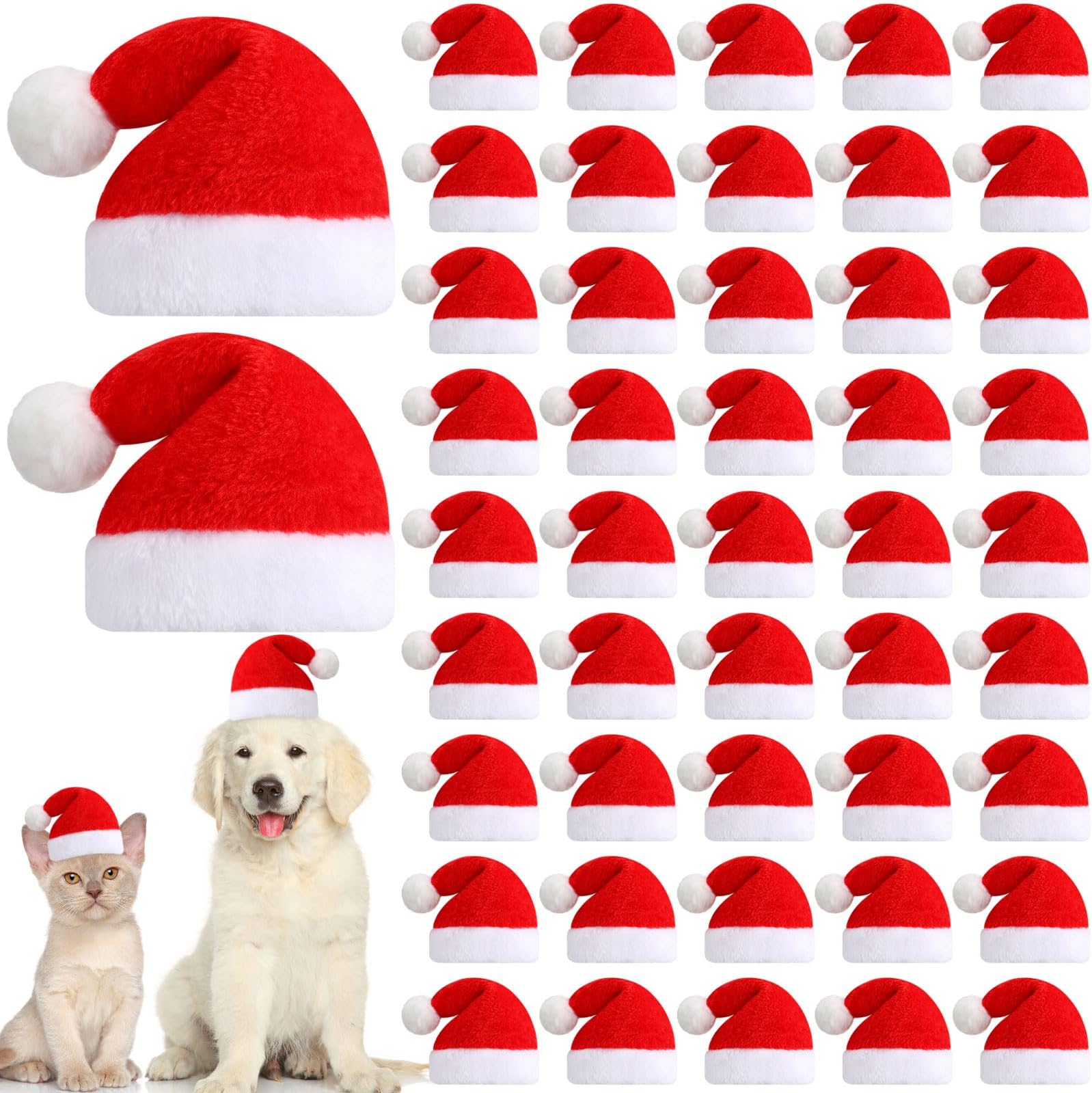 Amazon.com : Sanwuta 100 Pcs Christmas Dog Santa Hat Bulk PET Soft ...