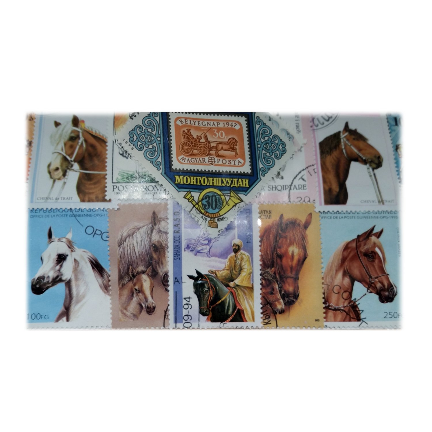 Horse Horses, Worldwide Stamps from Around The World, Collectable Set ...