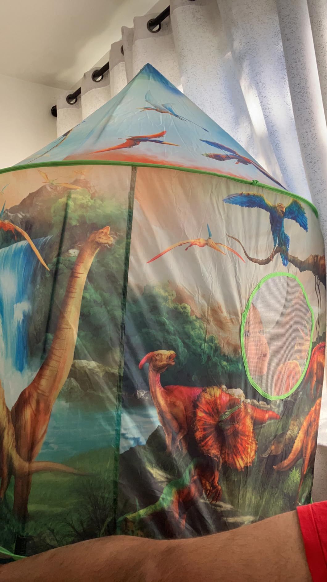 Amazon.com: ImpiriLux Dinosaur Play Tent Playhouse for Boys and Girls ...