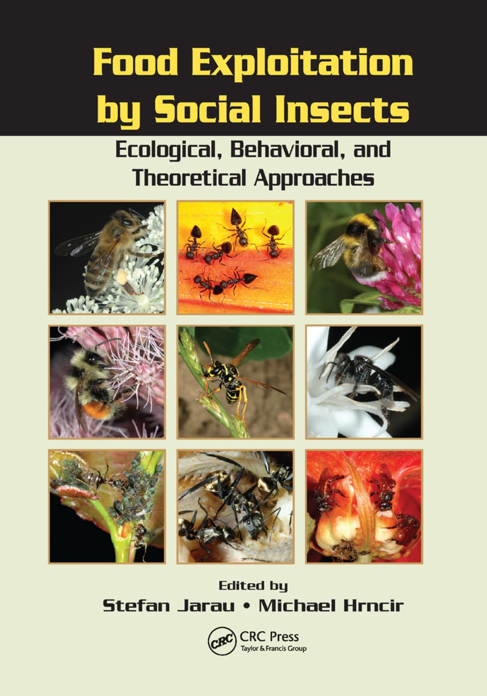 Amazon.com: Food Exploitation By Social Insects: Ecological, Behavioral ...