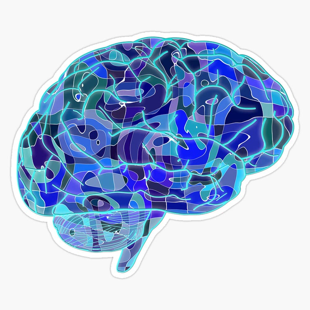 Amazon.com - Brain Vinyl Waterproof Sticker Decal Car Laptop Wall ...