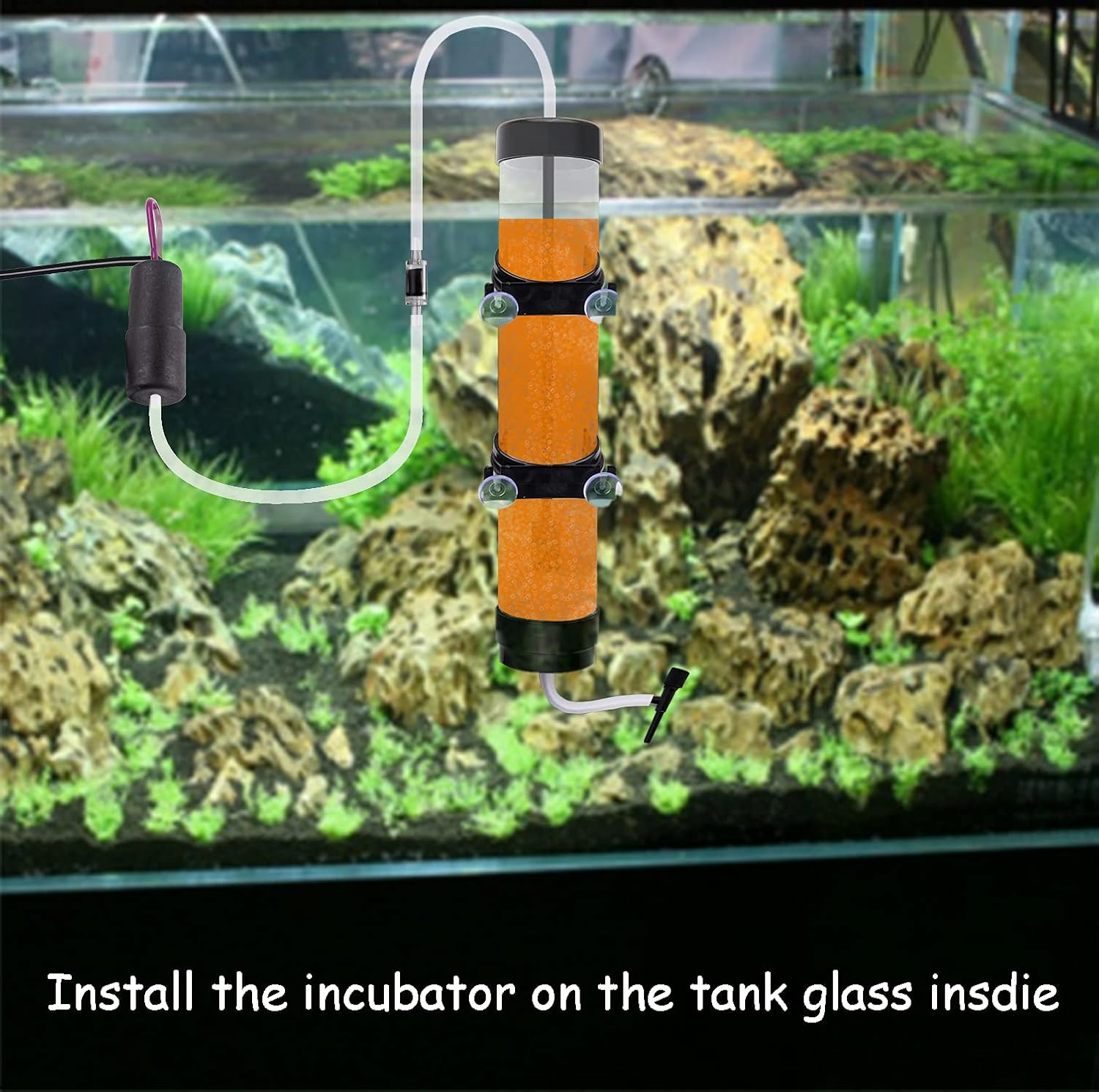 Buy NestBasics Brine Shrimp Hatchery Kits brine Shrimp Eggs Incubator ...