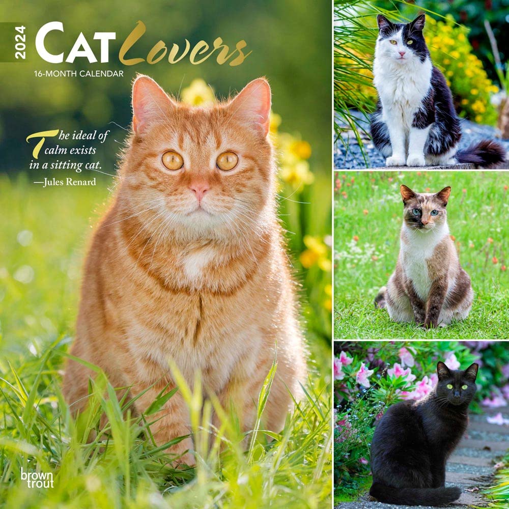 Cat Lovers | 2024 12 x 24 Inch Monthly Square Wall Calendar | Foil ...