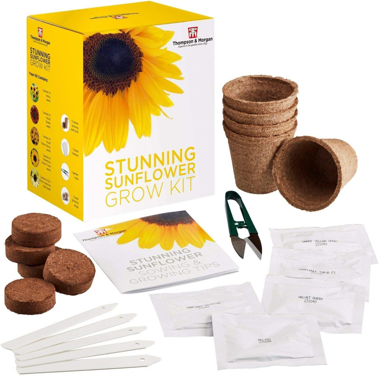 Grow Your Own Sunflower Seed Kit - Gardening Gift - Kid Childrens ...