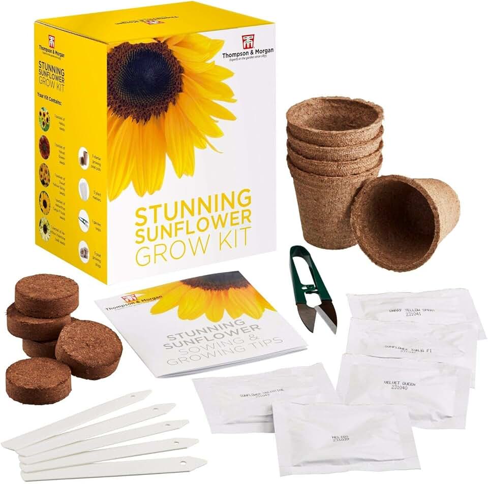 Amazon.co.uk: Grow Your Own Kits - Grow Your Own Kits / Plants, Seeds ...