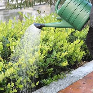 Watering Can, Large Capacity Watering Can, Detachable Nozzle Equipment ...