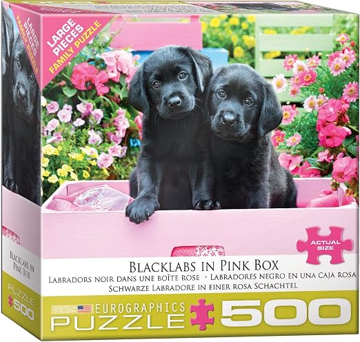 Amazon.com: EuroGraphics Black Labs in Pink Box 500 Piece Puzzle ...
