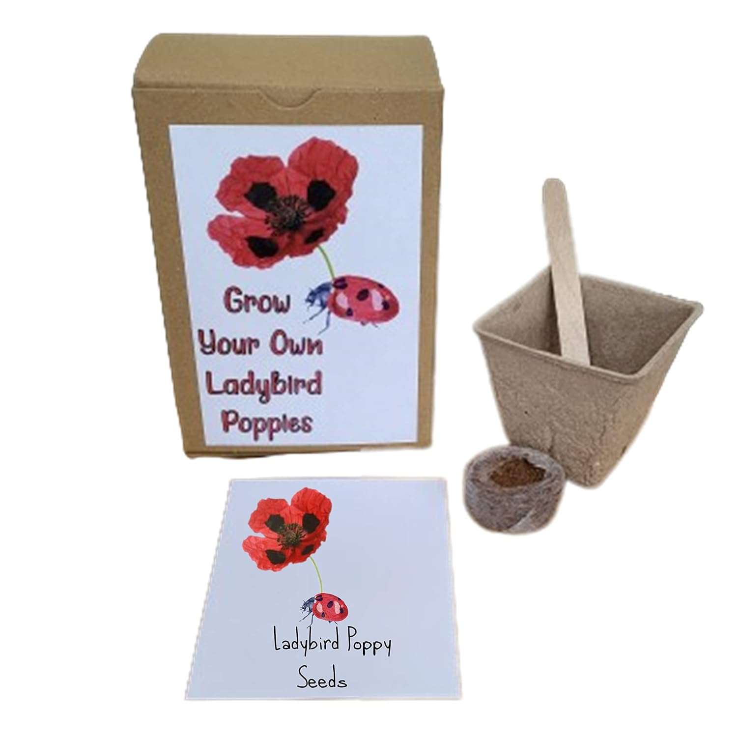 Ladybird Poppies Poppy Kids Grow Your Own Flower Kit Gift Personalised ...