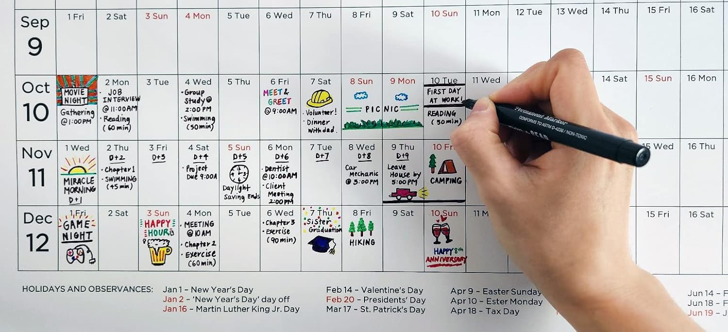 Amazon.com: 365 Days Yearly Wall Calendar, Back to School, Planner ...